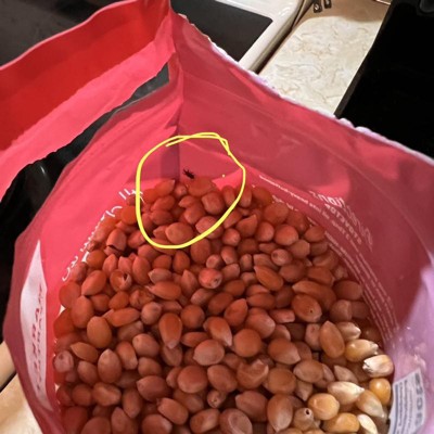 All Natural Popping Corn Yellow Kernels - 45oz - Market Pantry™ : Target