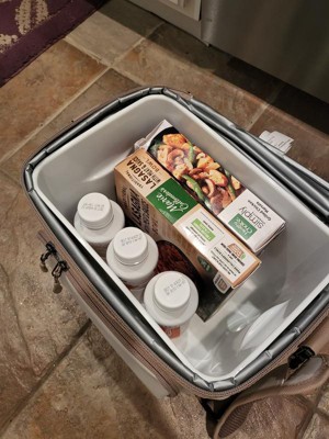 Soft Sided 11qt Cooler Tan - Embark™ : Target