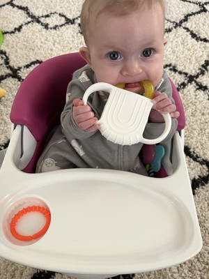 Frida Baby Not-too-cold-to-hold Teether - 3ct : Target