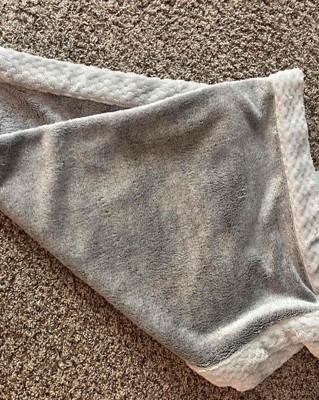 Aden + Anais Essentials Plush Blanket - Sea Blue : Target