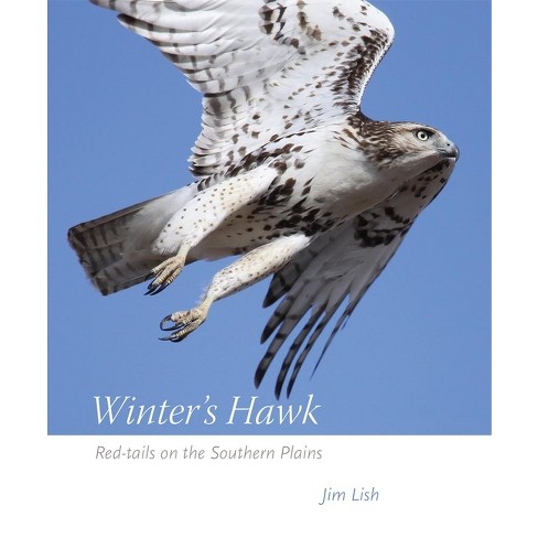Winter's Hawk - By James W Lish (paperback) : Target