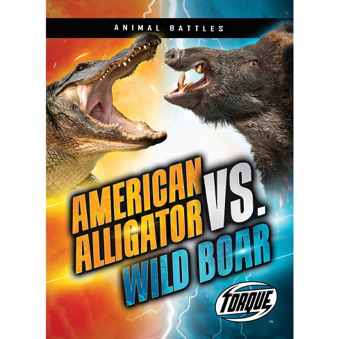 American Alligator Vs. Wild Boar - (animal Battles) By Nathan Sommer ...