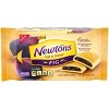 Newtons Fig Fruit Chewy Cookies - 10oz : Target