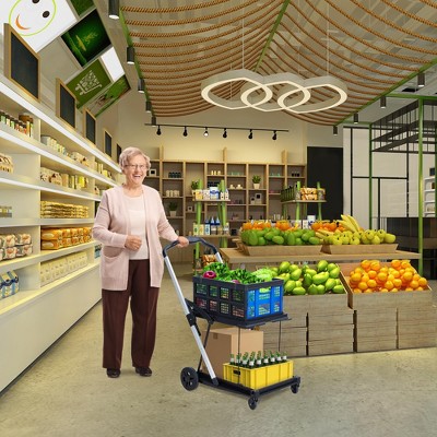 Collapsible Shopping Cart with Wheels,Grocery Cart on Wheels with ...