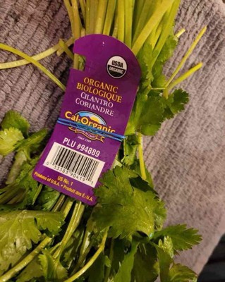 Organic Cilantro - 0.75oz Package : Target