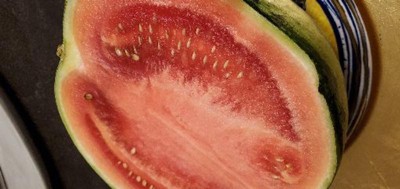 Mini Watermelon - Each : Target