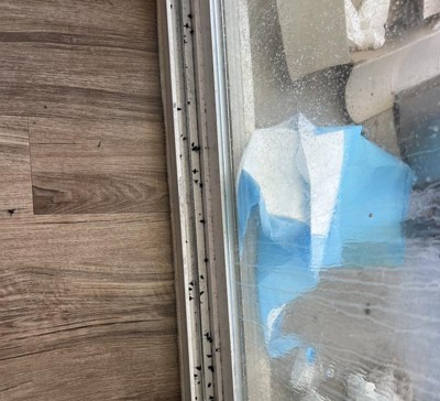 Raid Flying Insect Killer Outdoor Bug Spray - Fresh - 18oz : Target