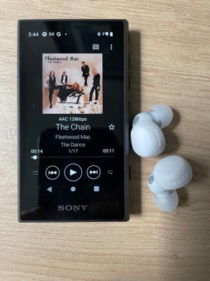 Sony Nw-a306 Walkman A Series Hi-res Digital Music Player With Wifi ...
