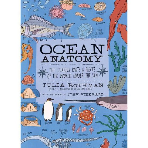 Ocean Anatomy - By Julia Rothman (paperback) : Target
