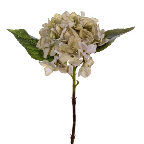 Vickerman 13" White Artificial Dried Hydrangea Pick, 3 Per Bag. : Target