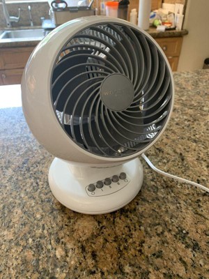 Woozoo Compact Oscillating Air Circulator Fan With Remote White : Target