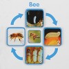 Kaplan Early Learning Insect Life Cycle Game - Investigate Bees, Ants ...