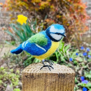 The Makerss Felting Kit - Blue Tit Needle Felt Kit : Target