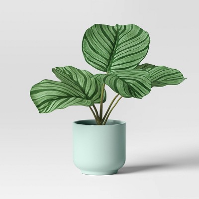 14" Privet Artificial Plant - Threshold™ Designed With Studio Mcgee: No ...