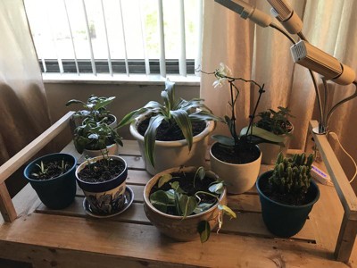 Wooden Cart Display With Wheels Tan - Alpine Corporation : Target