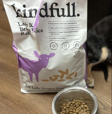 Lamb & Brown Rice Recipe Dry Dog Food - 5lbs - Kindfull™ : Target