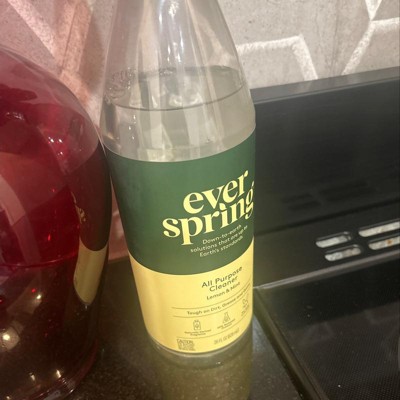 Lemon & Mint All Purpose Cleaner - 28 Fl Oz - Everspring™ : Target