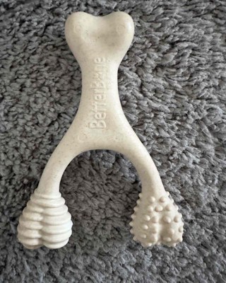Betterbone Hard Classic Nylon Free Dog Bone Chew Toy - S : Target