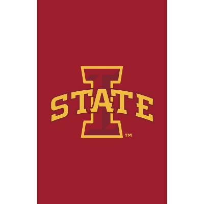 Evergreen Ncaa Iowa State University Applique House Flag 28 X 44 Inches ...