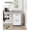 2-drawer File Cabinet Filing Cabinet For Home Office Rolling Printer ...