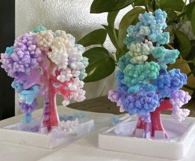 National Geographic Crystal Garden Science Kit : Target