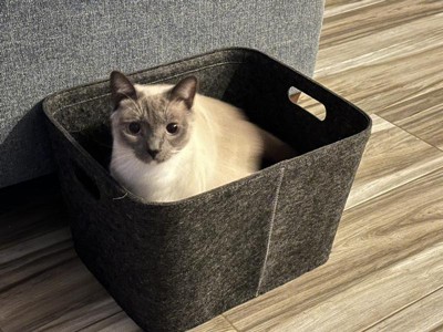 Felt Basket With Stitching - Brightroom™ : Target