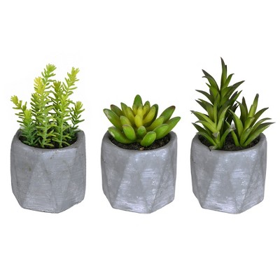 Vickerman 5" Artificial Assorted Potted Succulents. : Target