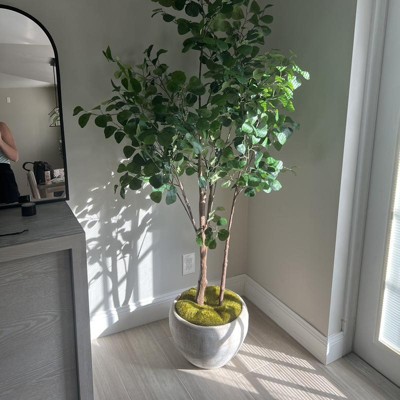 72" Artificial Ficus Tree - Threshold™ Designed With Studio Mcgee : Target
