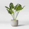 Concrete Planter Pots - Project 62™ : Target