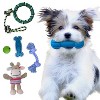 Rocket & Rex Chew Dog Ball Plush Toy Set - 6pk : Target