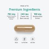 Vitanica Pregnancy Prep, Fertility Support Supplement, Supports Regular ...