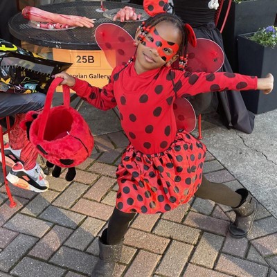 Miraculous Ladybug Dress Up Set : Target