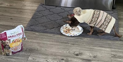 Freshpet Select Grain Free Small Wet Dog Chicken And Vegetable Recipe ...