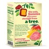 Solely Organic Mango & Guava Whole Fruit Gummies - 3.5oz/5ct : Target