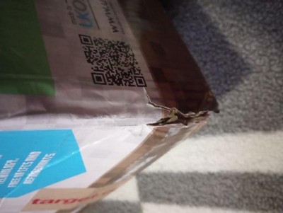 Minecraft Charged Creeper Figural Mini Fridge : Target