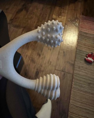Betterbone Hard Classic Nylon Free Dog Bone Chew Toy - S : Target