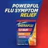 Theraflu Multi-symptom Flu Relief Max Strength Day & Night Powder ...