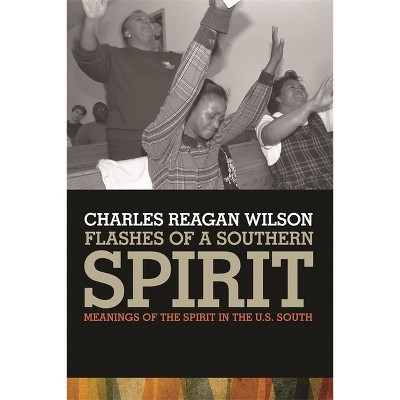 The Resilient Spirit - By Polly Young Eisendrath (paperback) : Target