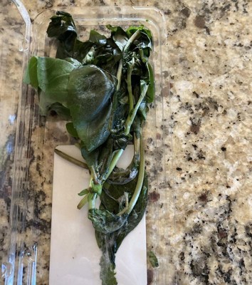 Organic Basil - 0.5oz - Good & Gather™ : Target