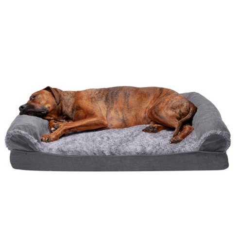 Why Do Dogs Scrunch Up Blankets