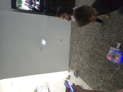 Projex Image Projecting Arcade Game : Target