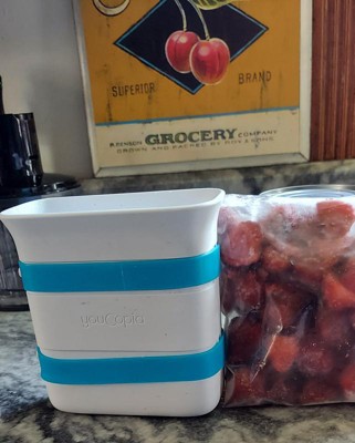 Freezeup 2pk Food Block Maker, 2 Cup : Target