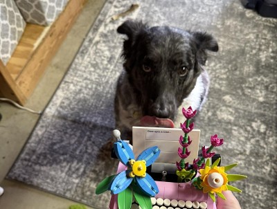 Lego Creator 3 In 1 Typewriter With Flowers Building Toy With 3 Options ...