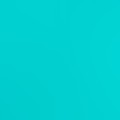 Women's Mesh Colorblock Woven Shorts - JoyLab™ Teal Green XS : Target