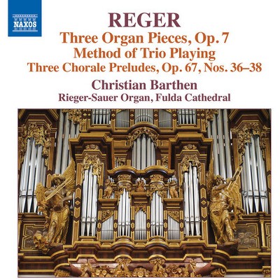 Reger & Christian Barthen - Organ Works 16 (cd) : Target
