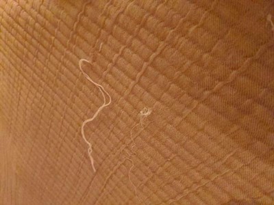 Reversible Textured Cotton Chambray Coverlet - Casaluna™ : Target
