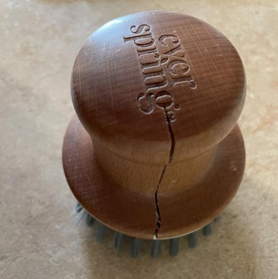 Palm Brush - Everspring™ : Target