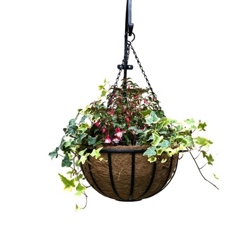 Tierra Garden 14" Cambridge Premium Hanging Basket With Coco Liner : Target