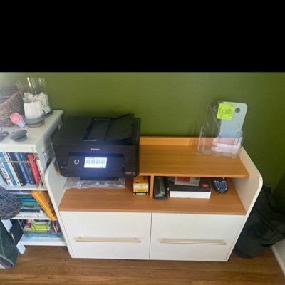 Tribesigns 2 Drawer File Cabinet Office Rolling Filing Cabinets, Black ...