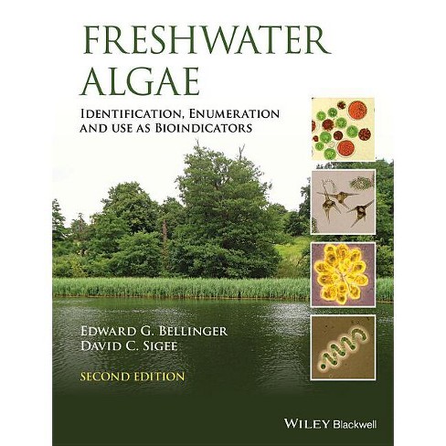 Freshwater Phytoplankton Identification Guide